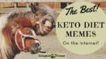 Best Keto Diet Memes on the Internet! - Ketogenic Woman